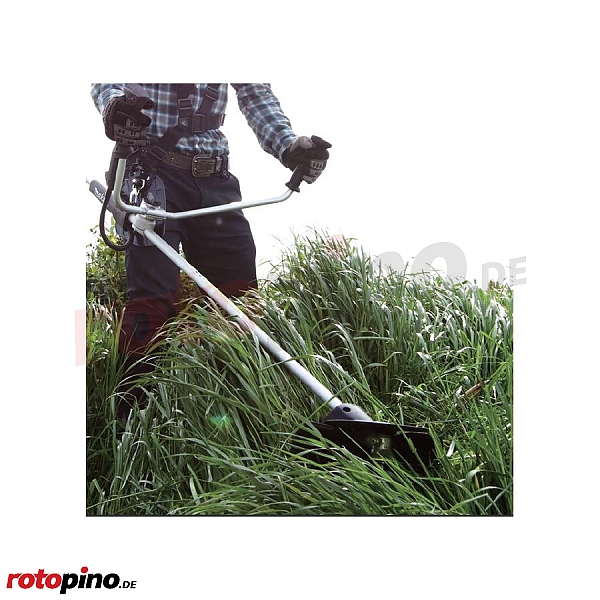 Welche Motorsense? Vergleich. | rotopino.de